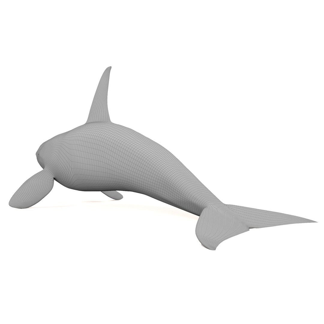 Fabric Orca model - TurboSquid 1903798