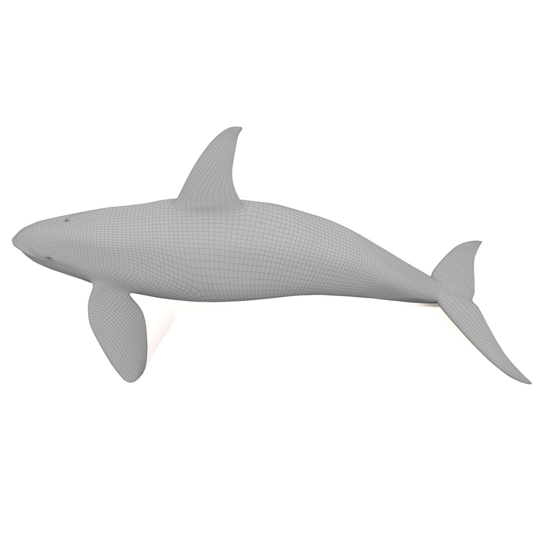 Fabric Orca model - TurboSquid 1903798