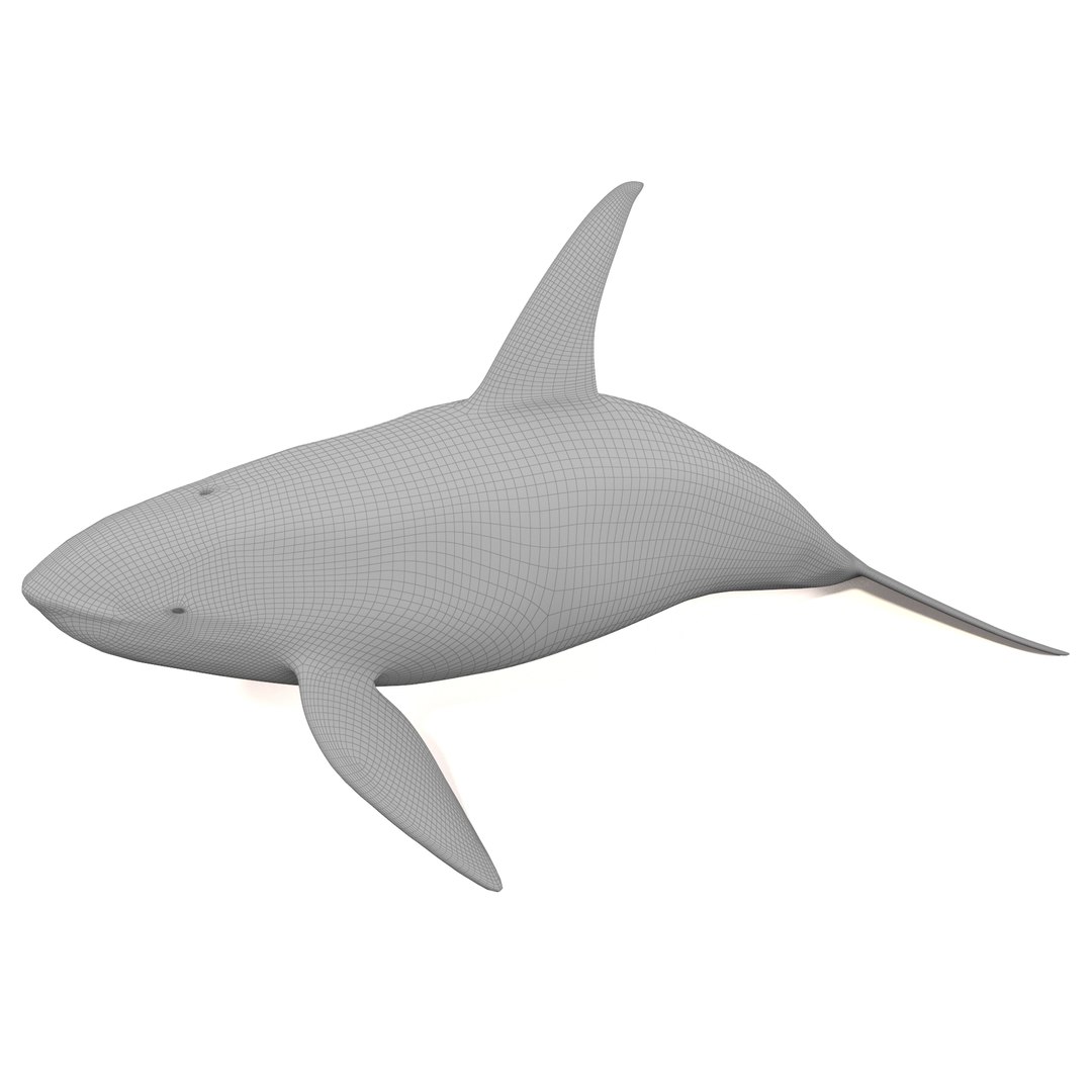 Fabric Orca model - TurboSquid 1903798