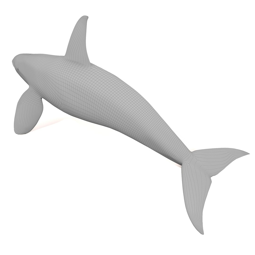 Fabric Orca model - TurboSquid 1903798