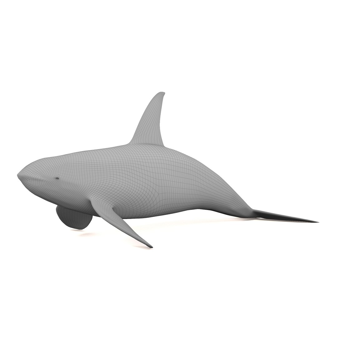 Fabric Orca model - TurboSquid 1903798