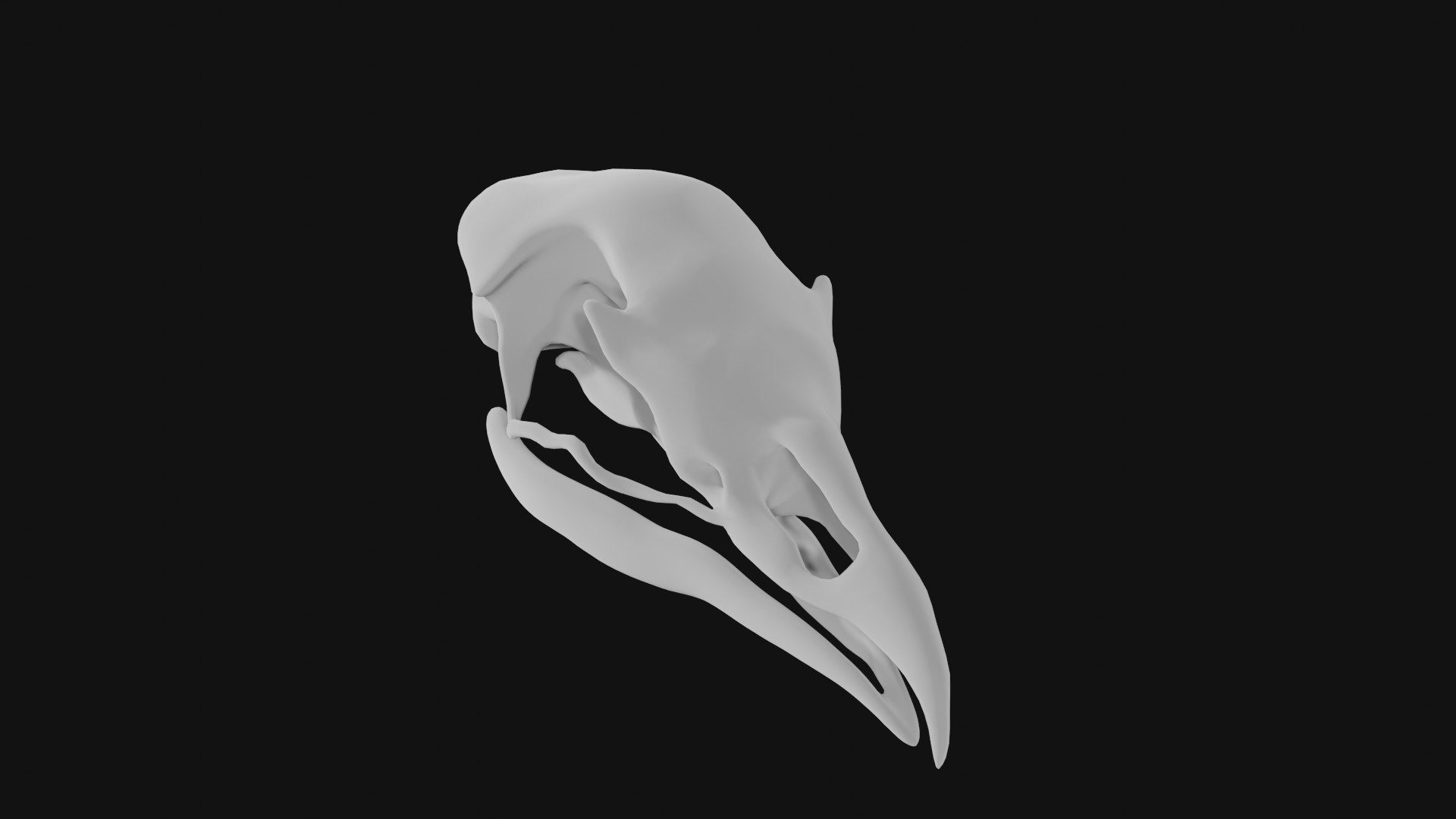Turkey Skull 3D - TurboSquid 1986112