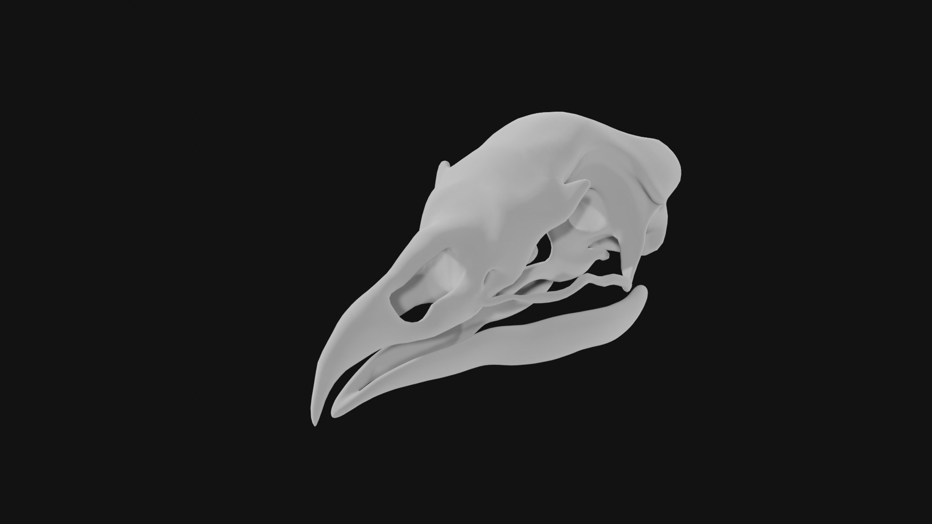 Turkey Skull 3D - TurboSquid 1986112
