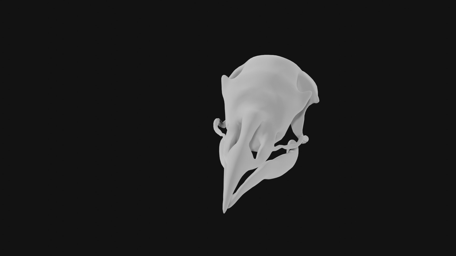 Turkey Skull 3D - TurboSquid 1986112