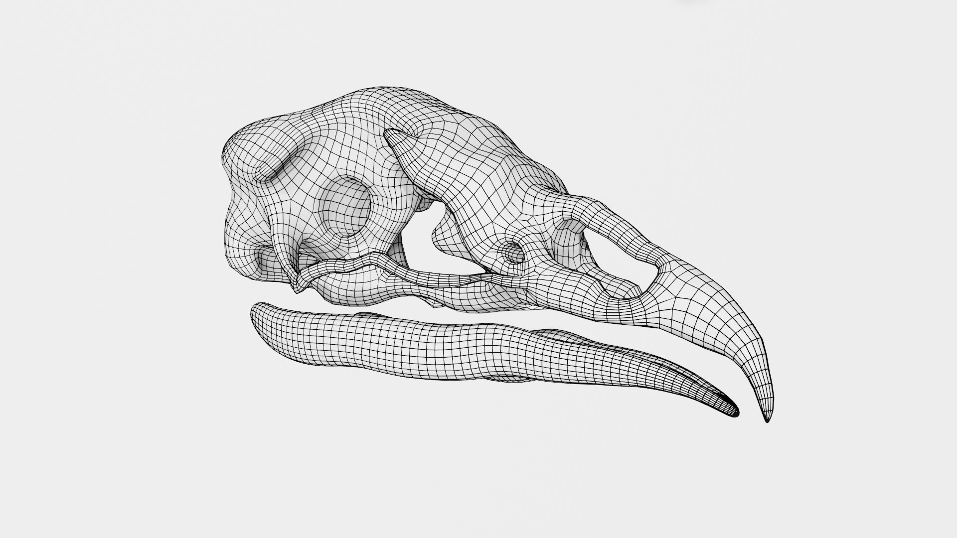 Turkey Skull 3D - TurboSquid 1986112