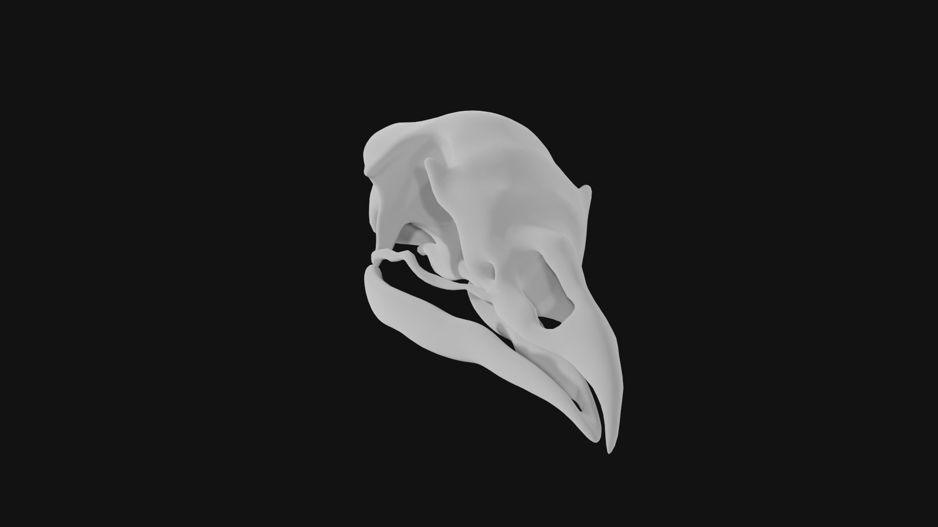 Turkey Skull 3D - TurboSquid 1986112
