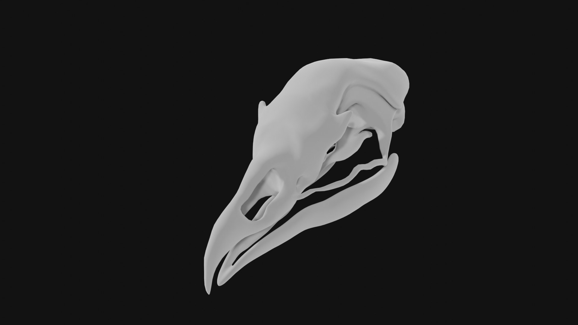 Turkey Skull 3D - TurboSquid 1986112