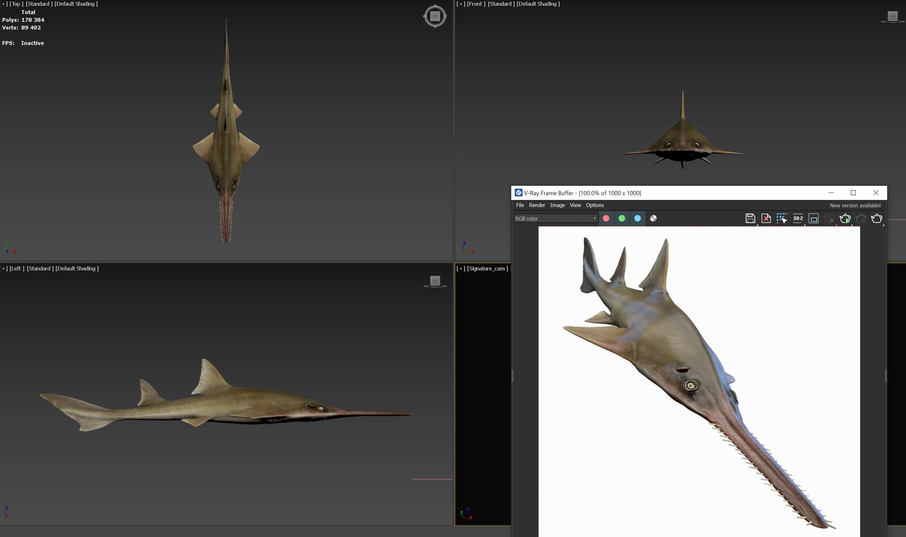 Sawfish Static 3D Model - TurboSquid 2006127