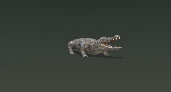 3D realistic crocodile rigged animation - TurboSquid 1278469