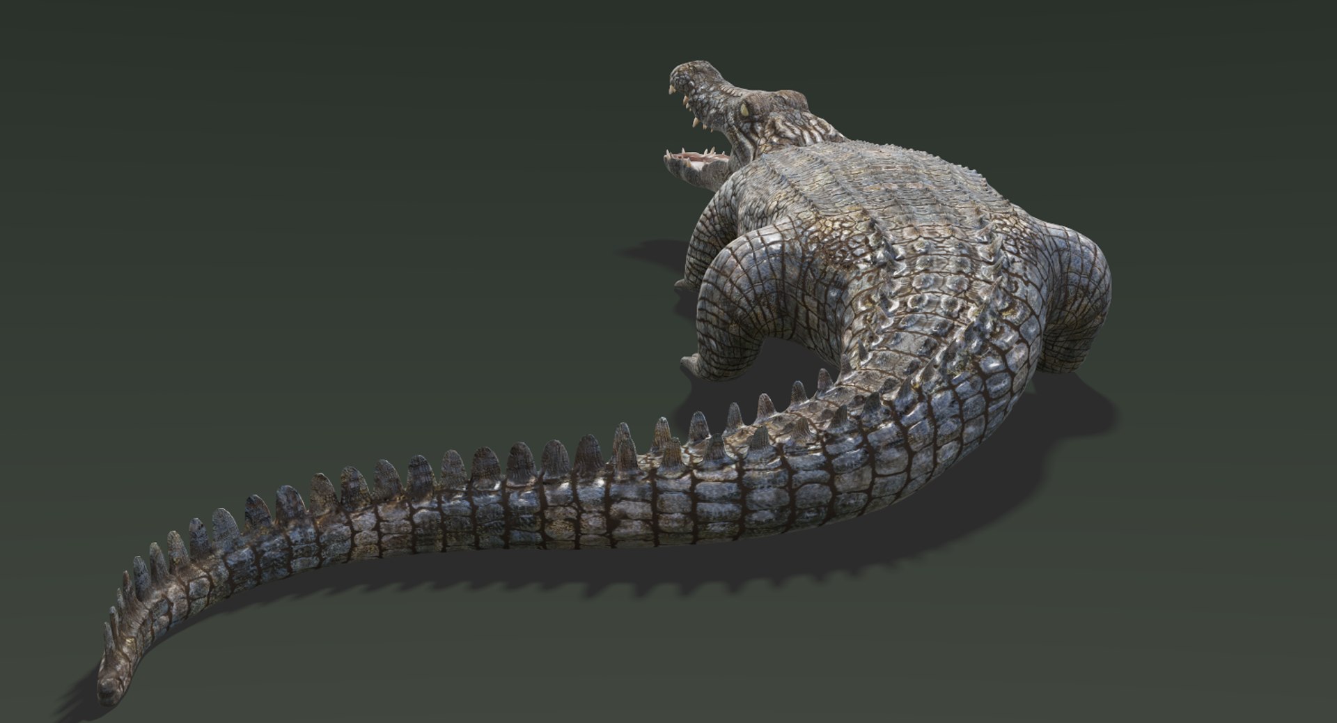 3D Realistic Crocodile Rigged Animation - TurboSquid 1278469