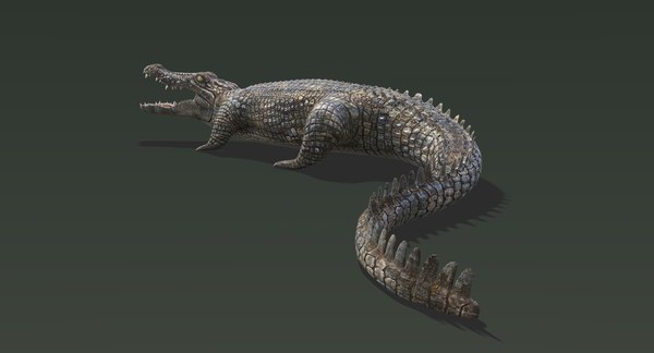 3D realistic crocodile rigged animation - TurboSquid 1278469