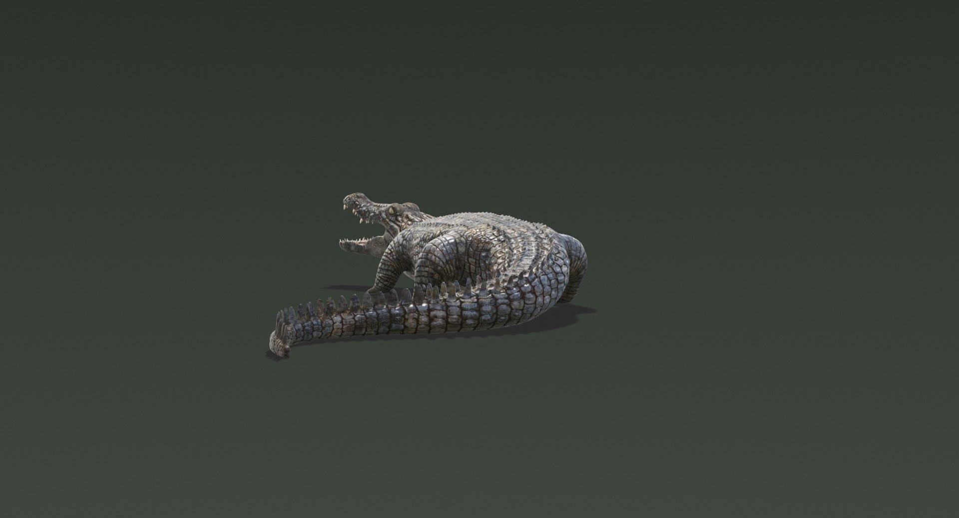 3D Realistic Crocodile Rigged Animation - TurboSquid 1278469