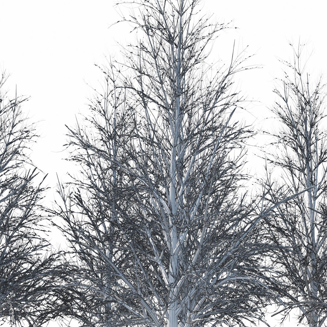 Winter Tree 035 Snow 3D Model - TurboSquid 1238100