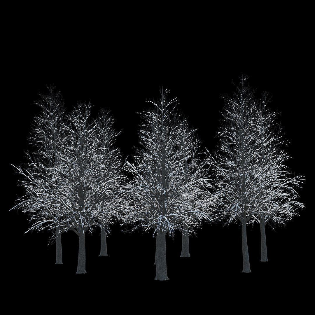Winter Tree 035 Snow 3D Model - TurboSquid 1238100