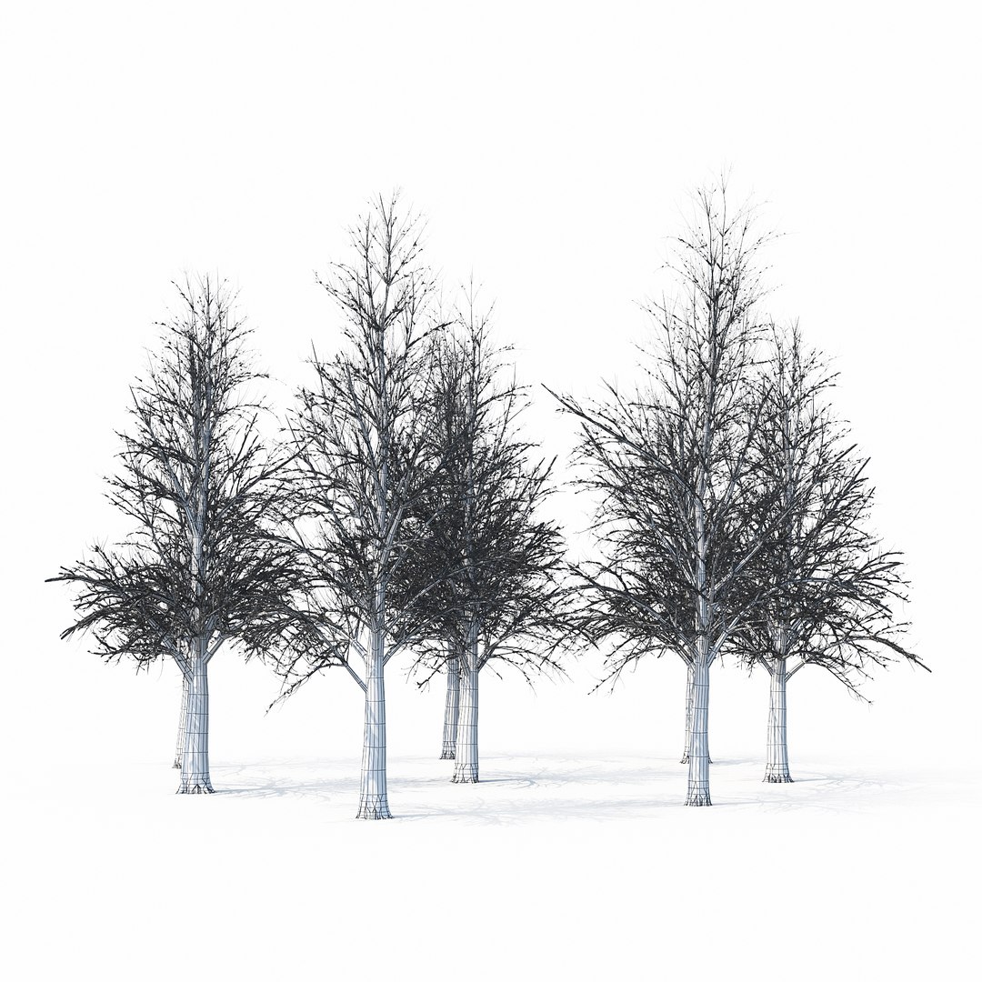 Winter Tree 035 Snow 3D Model - TurboSquid 1238100
