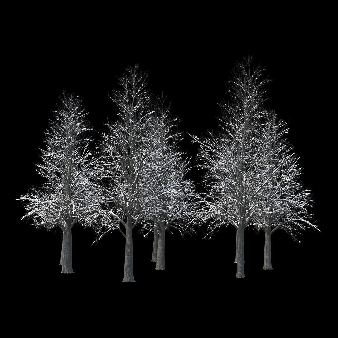 Winter Tree 035 Snow 3D Model - TurboSquid 1238100