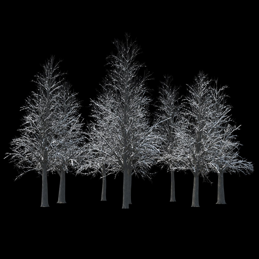 Winter Tree 035 Snow 3D Model - TurboSquid 1238100