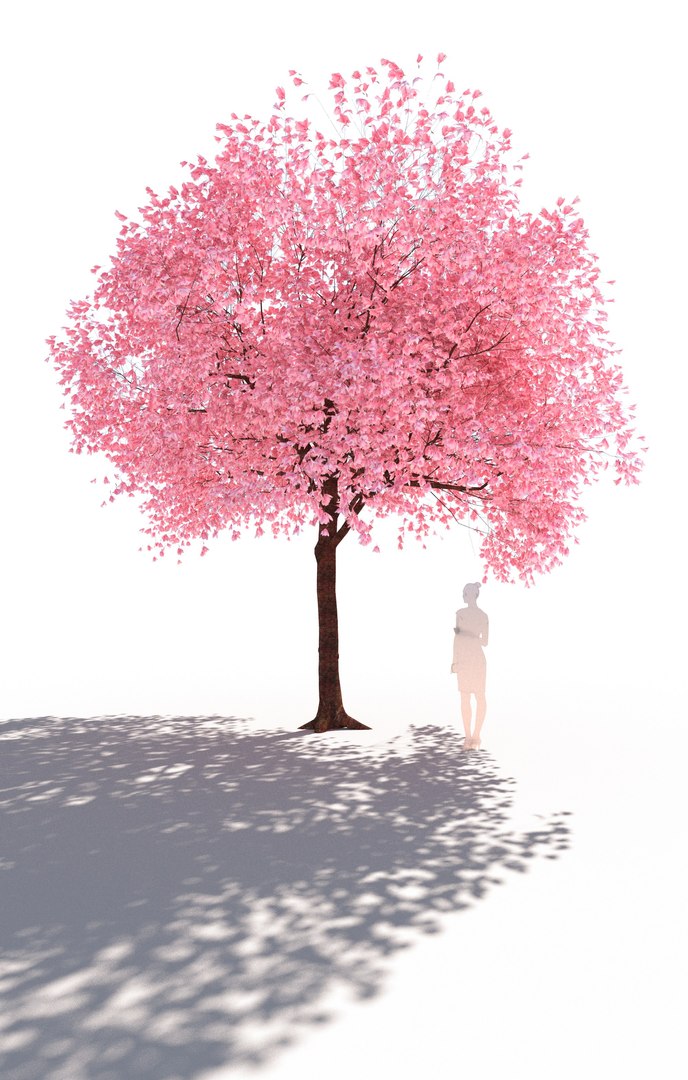 Collection Of 5 Cherry Trees Prunus Avium 3D Model - TurboSquid 1779582
