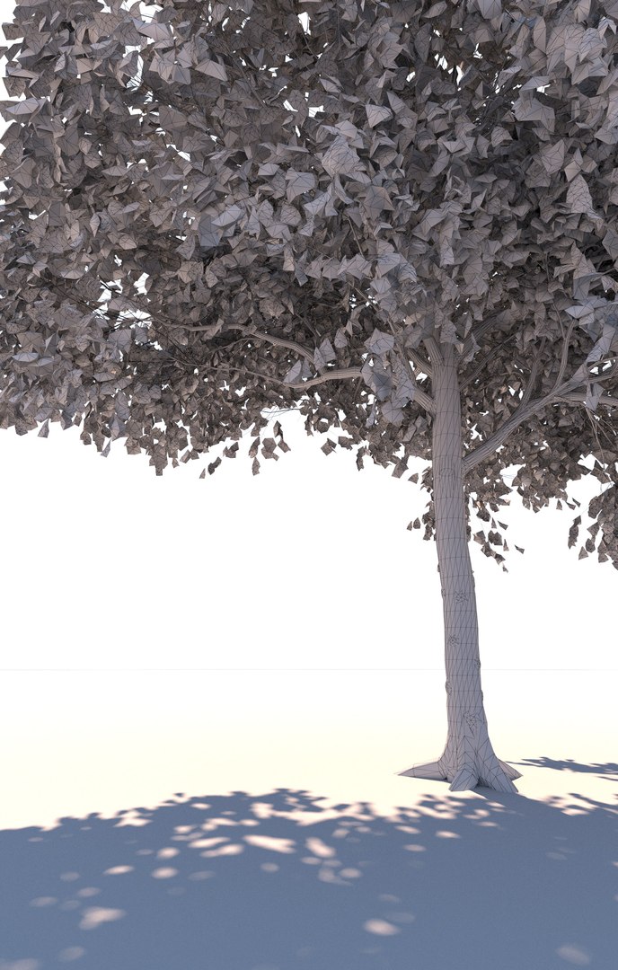 Collection Of 5 Cherry Trees Prunus Avium 3D Model - TurboSquid 1779582