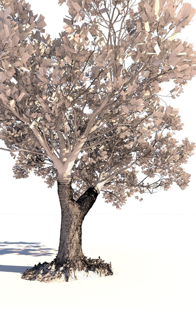 Collection Of 5 Cherry Trees Prunus Avium 3D Model - TurboSquid 1779582