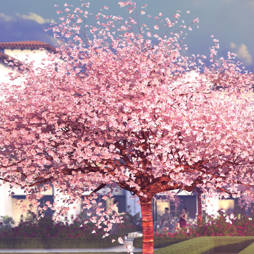 Collection of 5 cherry trees prunus avium 3D model - TurboSquid 1779582