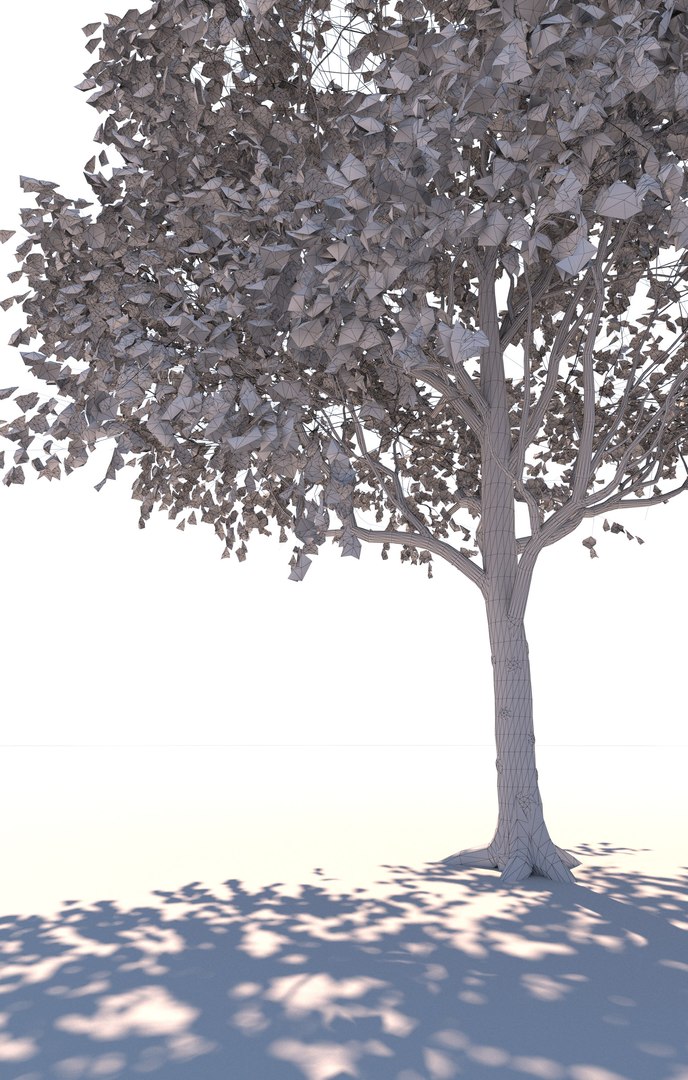 Collection Of 5 Cherry Trees Prunus Avium 3D Model - TurboSquid 1779582