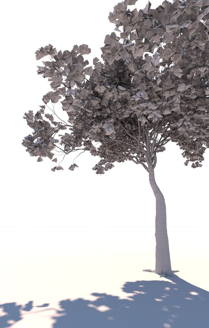 Collection Of 5 Cherry Trees Prunus Avium 3D Model - TurboSquid 1779582