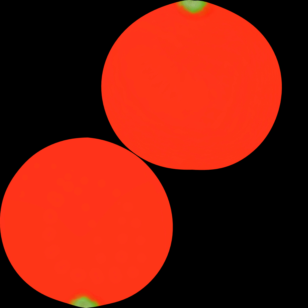 photorealistic tomato realistic 3d model