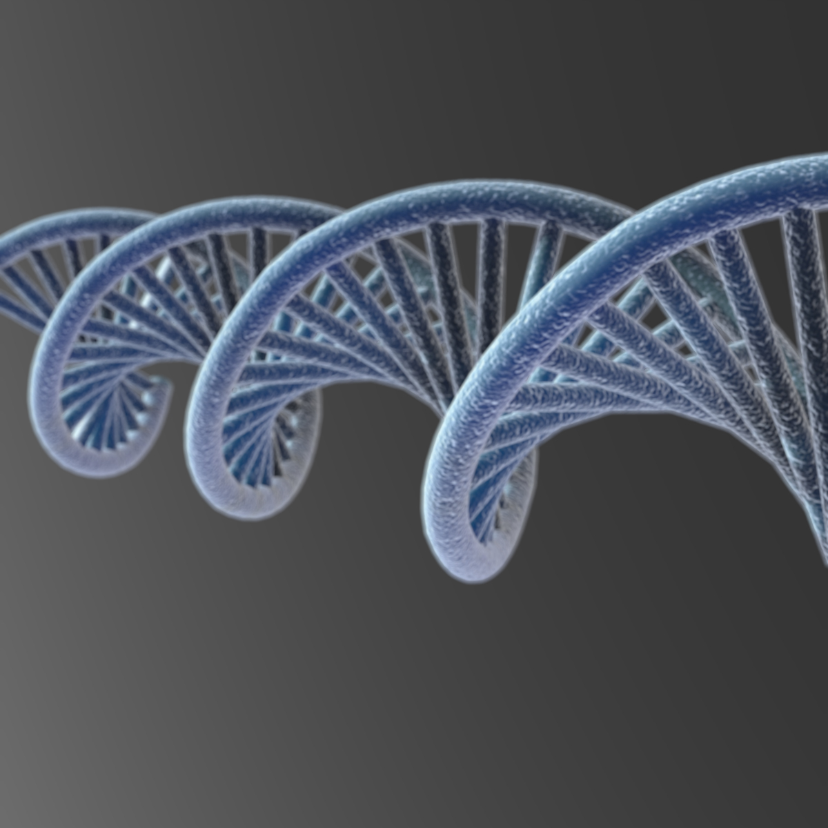 Free dna 3D model - TurboSquid 1521540