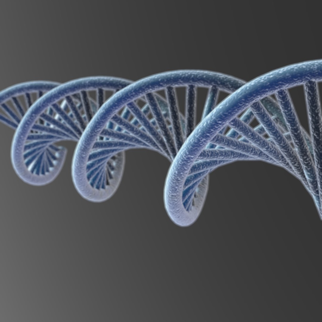 Free Dna 3D Model - TurboSquid 1521540