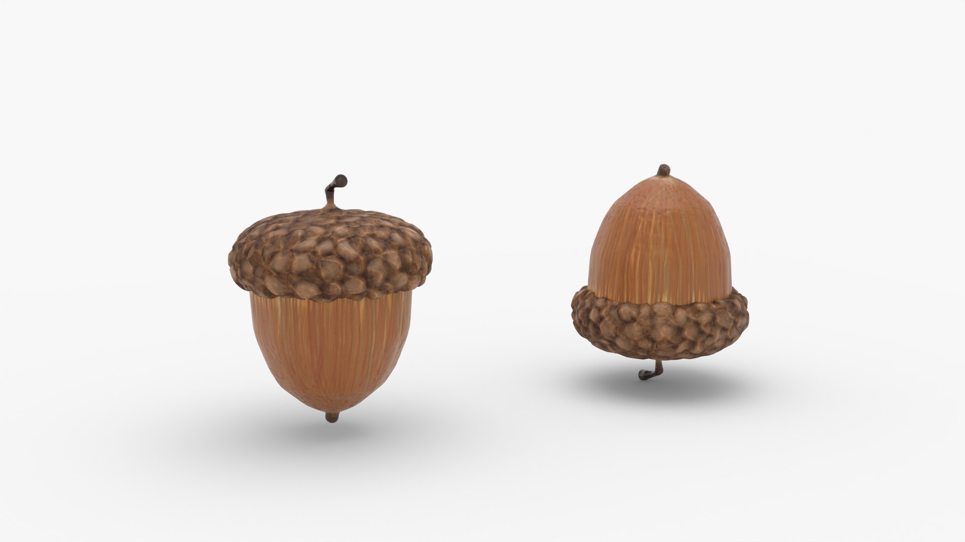 Nut - Ice Age 3D Model - TurboSquid 2386304