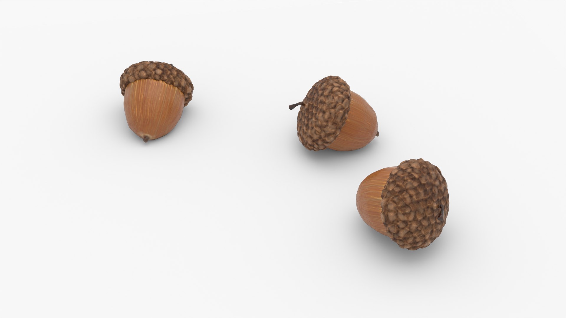 Nut - Ice Age 3D Model - TurboSquid 2386304