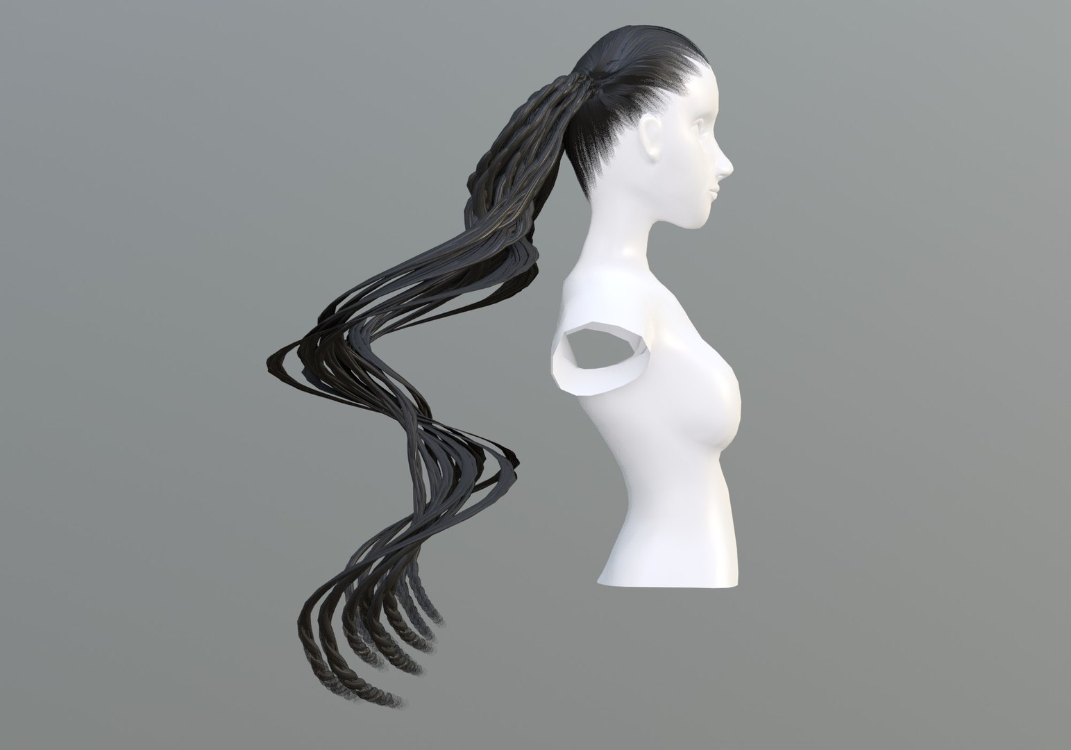 Braids Long Hair 3D Model - TurboSquid 1944453