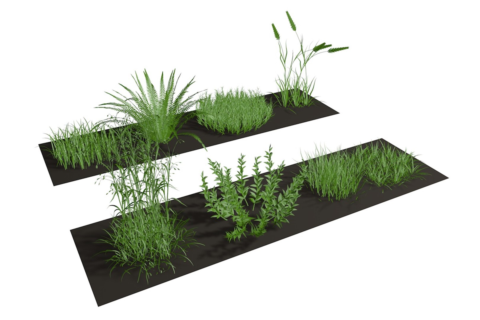 Herb Herbage 3D - TurboSquid 1282641