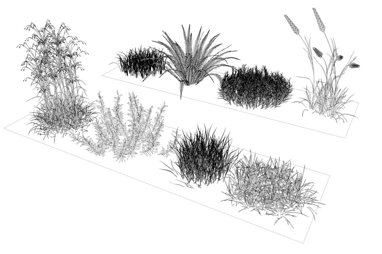 Herb Herbage 3D - TurboSquid 1282641