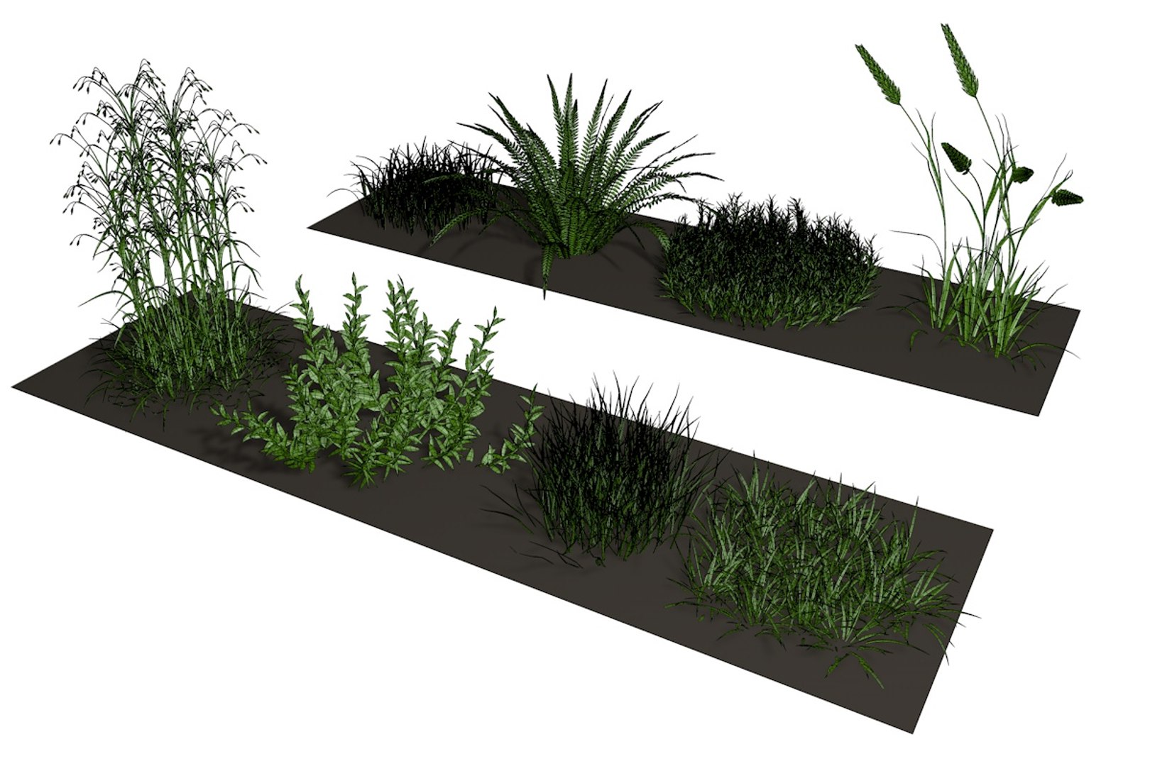 Herb Herbage 3D - TurboSquid 1282641