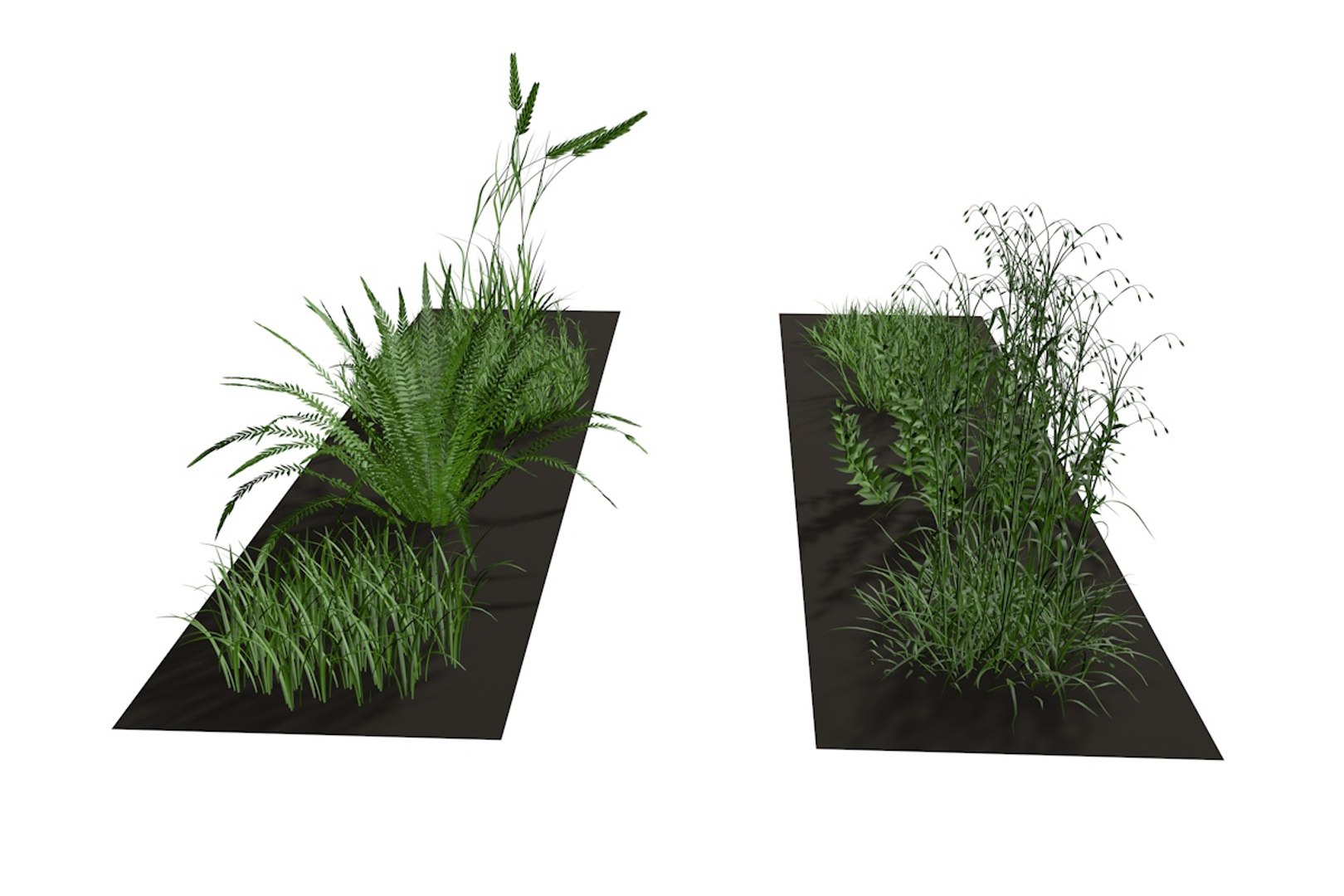 Herb Herbage 3D - TurboSquid 1282641