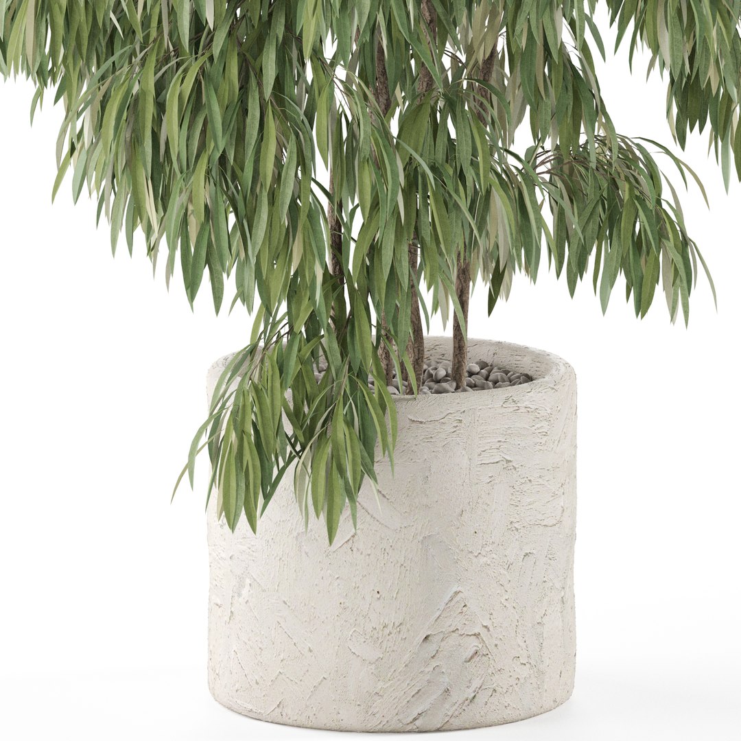 3D Plants collection 967 - TurboSquid 2102312