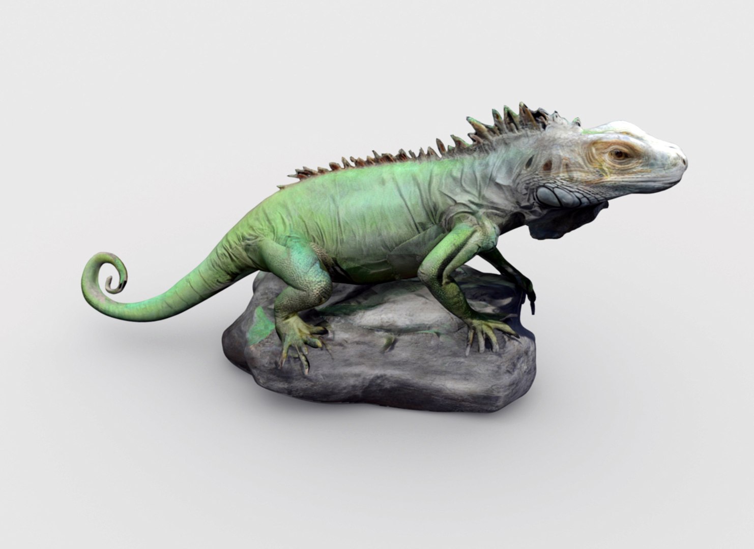 3D Model Realistic Iguana 3D Model - TurboSquid 2336371
