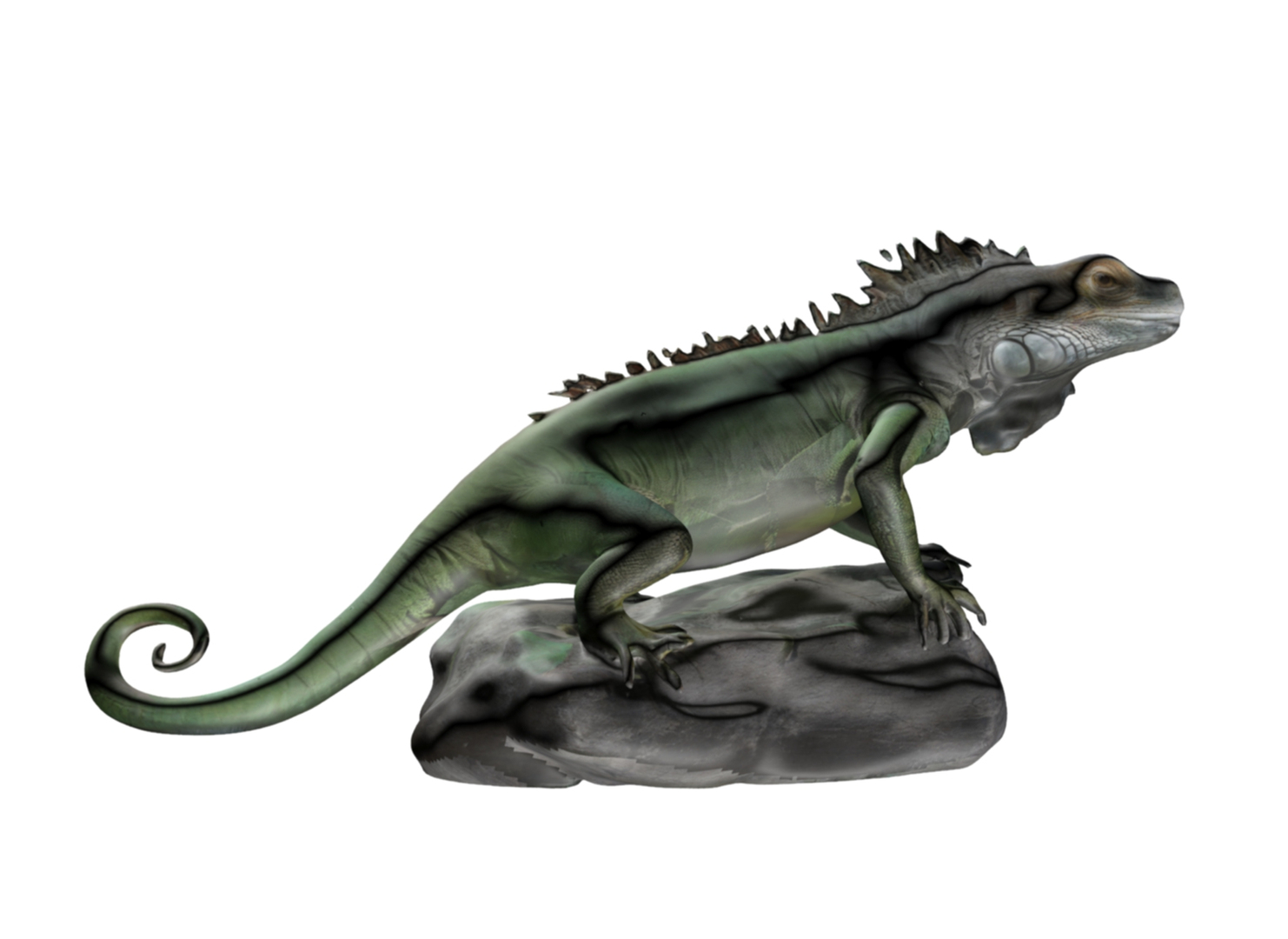 3D Model Realistic Iguana 3D Model - TurboSquid 2336371