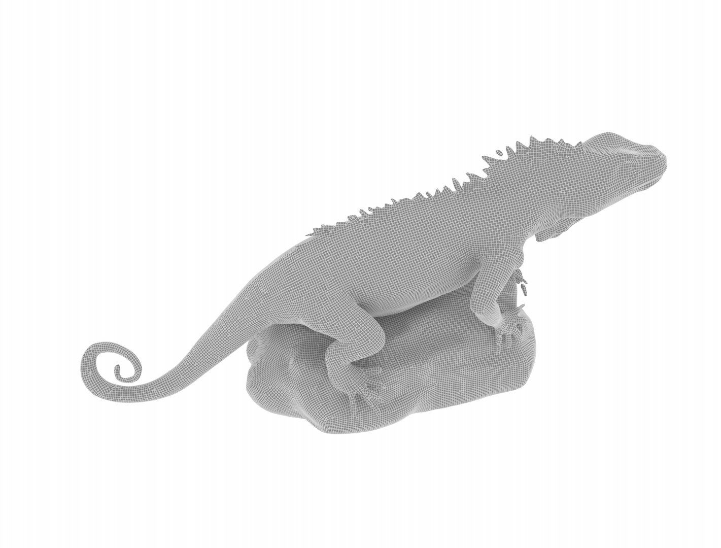 3D Model Realistic Iguana 3D Model - TurboSquid 2336371