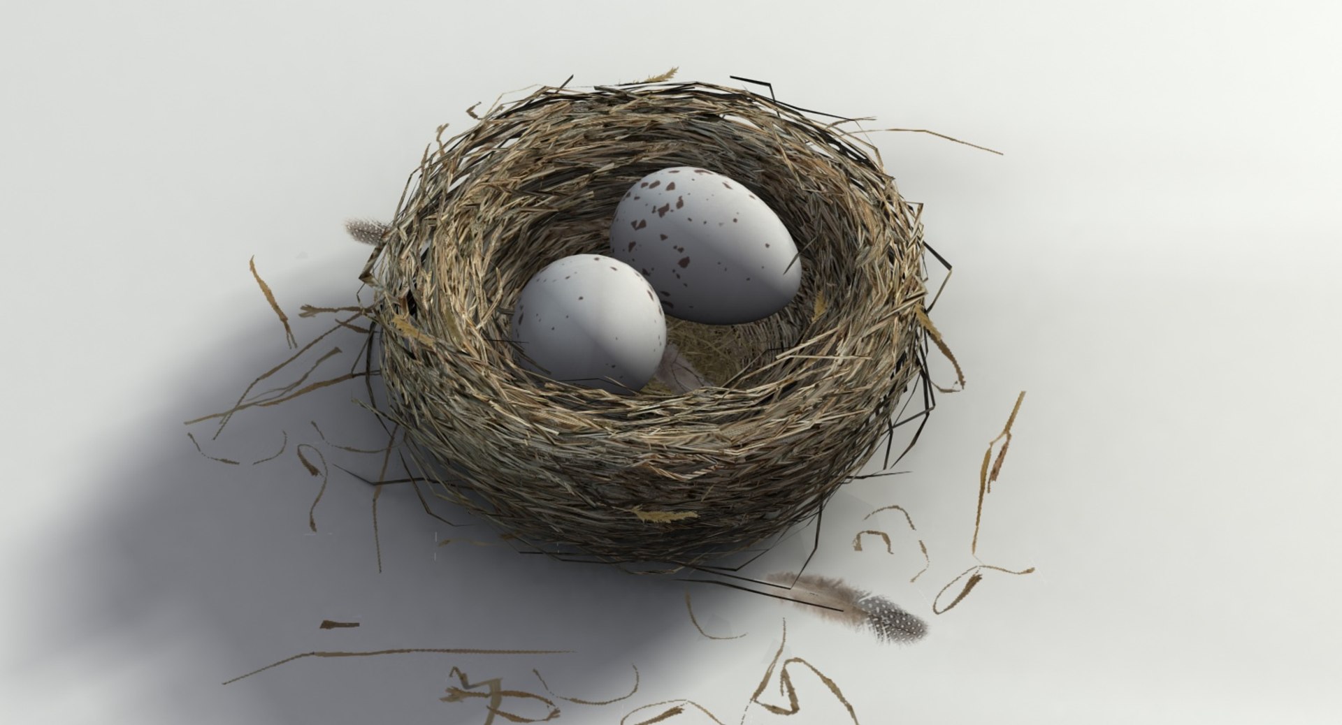 Bird Nest Model - TurboSquid 1291911