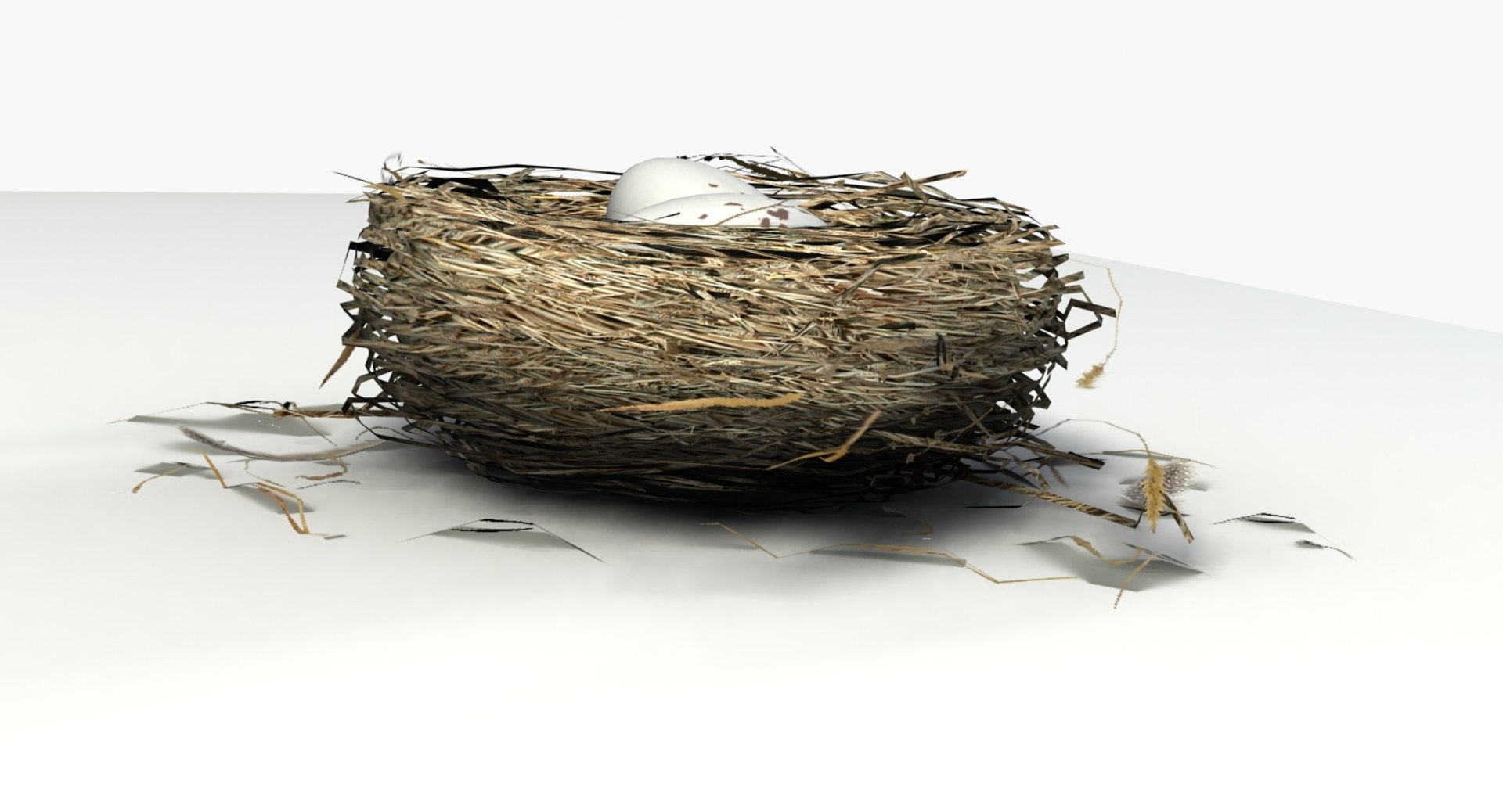 Bird Nest Model - TurboSquid 1291911
