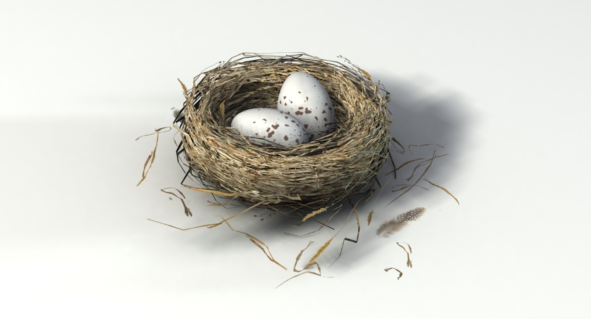 Bird Nest Model - TurboSquid 1291911