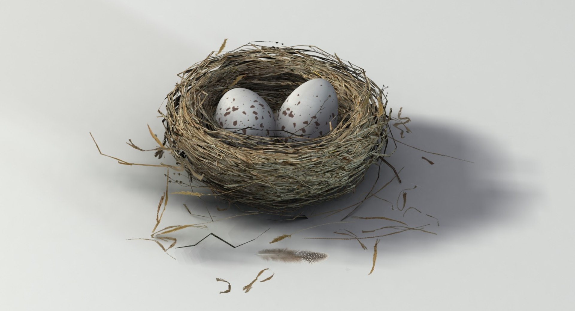 Bird Nest Model - TurboSquid 1291911