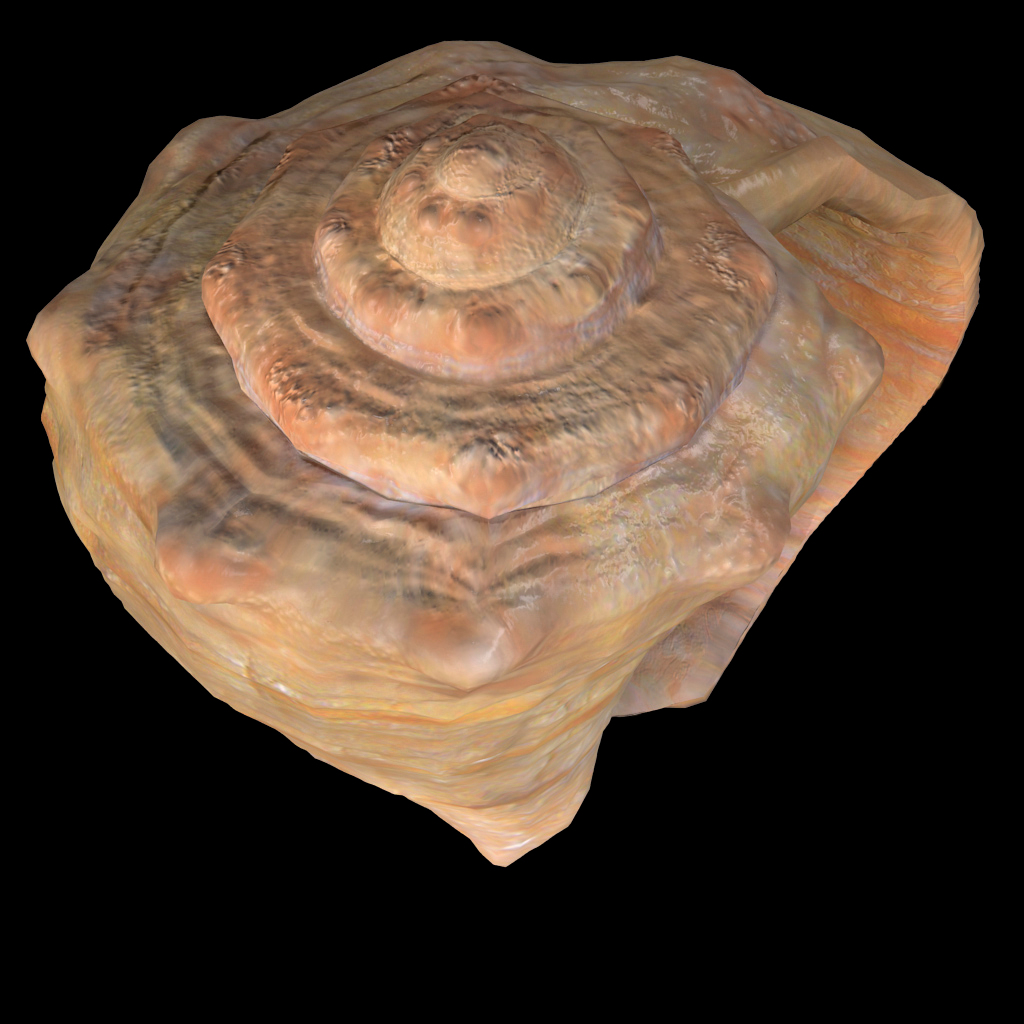 3D shell model | 1147184 | TurboSquid