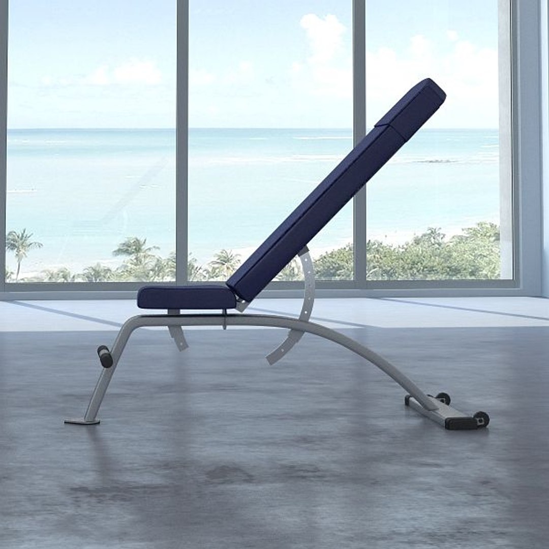 3d Weights Adjustable -10 80