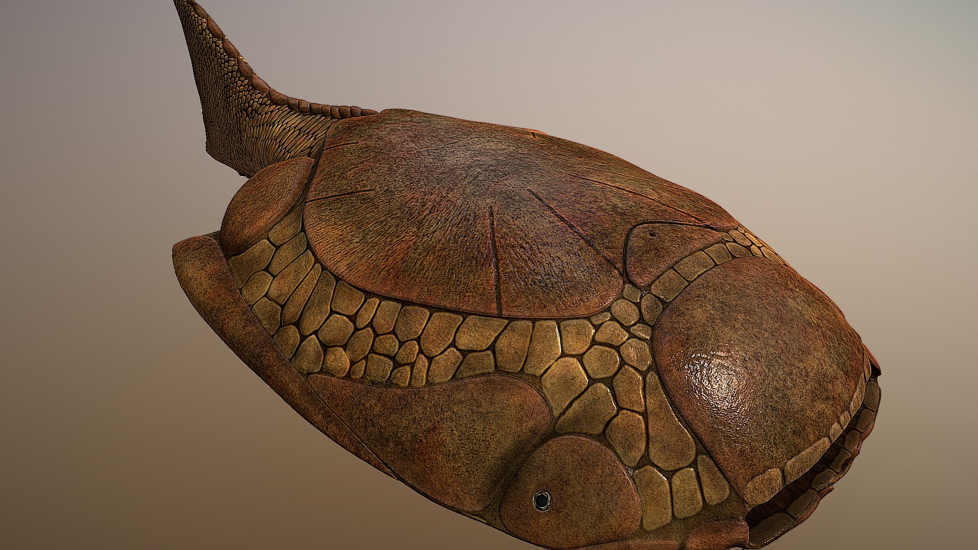 3D drepanaspis - TurboSquid 1343738