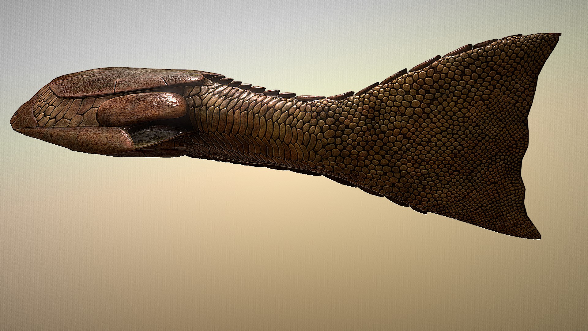 3D drepanaspis - TurboSquid 1343738