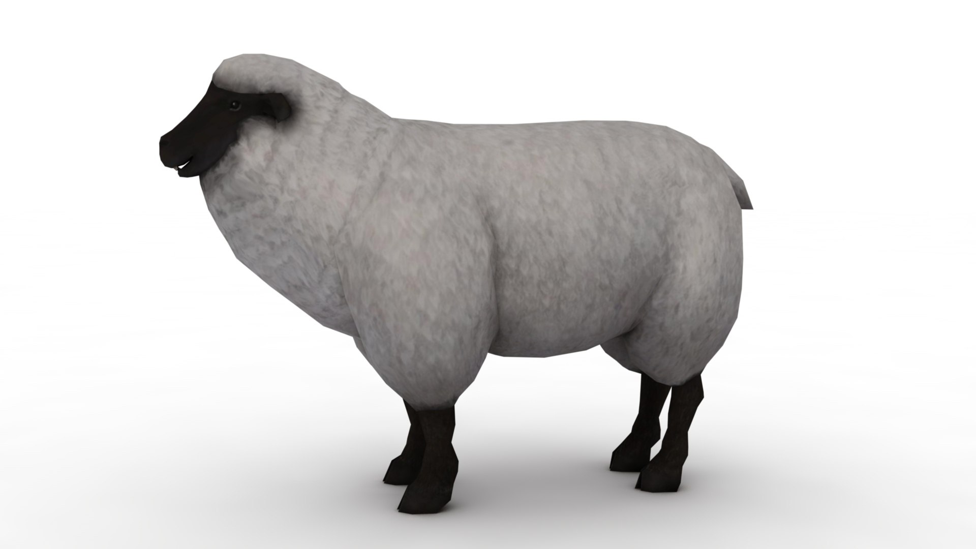 Sheep Model - TurboSquid 1962824